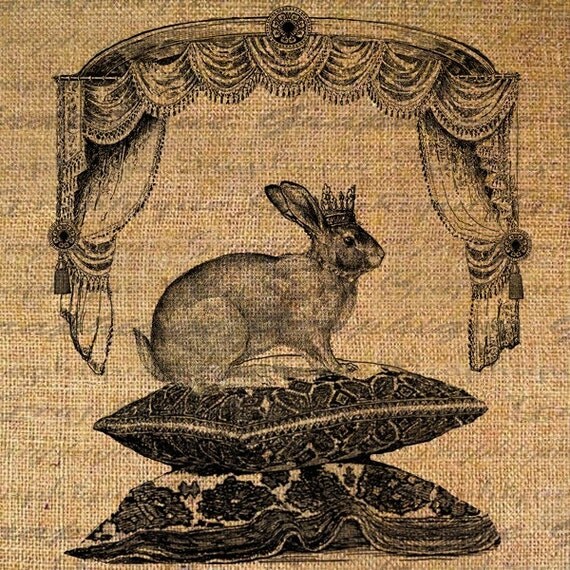 Rabbit Queen Crown Royal On Pillow Ornate Frame by Graphique