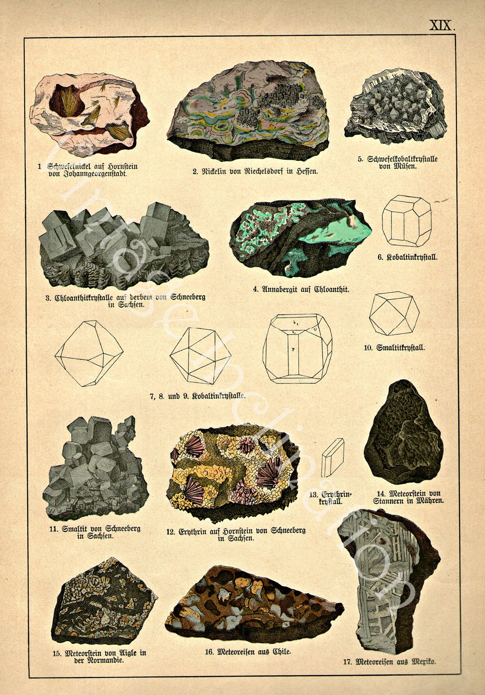 1000+ images about Mineral and Crystal Illustrations and Prints on ...