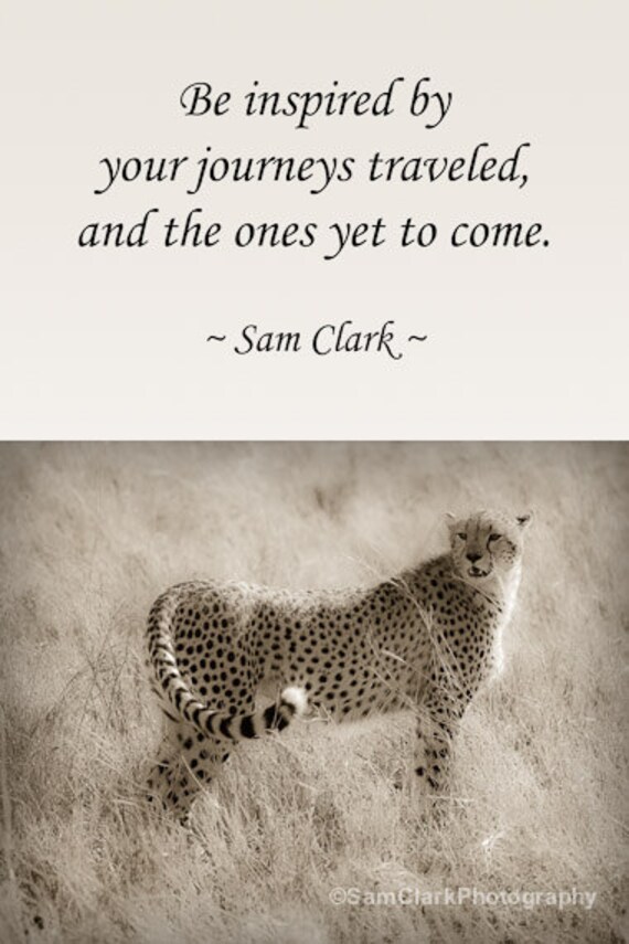 Photos With WORDS Wildlife Photography By Samclarkphotography Photos With WORDS Wildlife Photography By Samclarkphotography