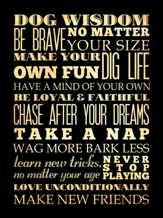 Dog Wisdom Quotes QuotesGram