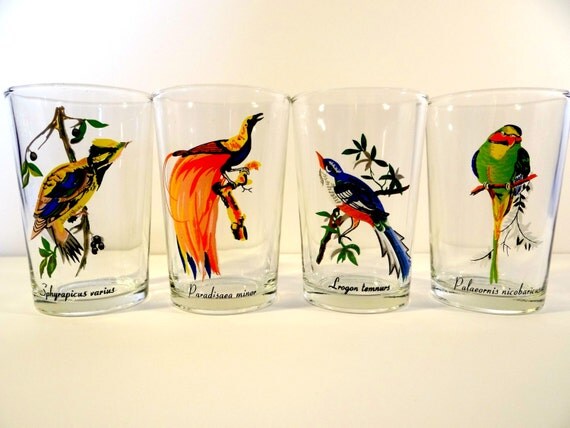 Vintage Exotic Bird Glasses Set Bird By Timelesstreasuresbym
