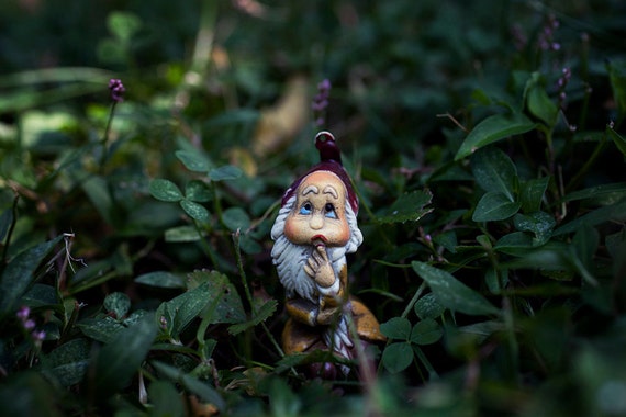 Items similar to Oh Wait - 8x10, gnome, elf, toy photography, garden ...