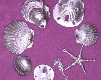 St James Cockle Seashell Rubber Stamp