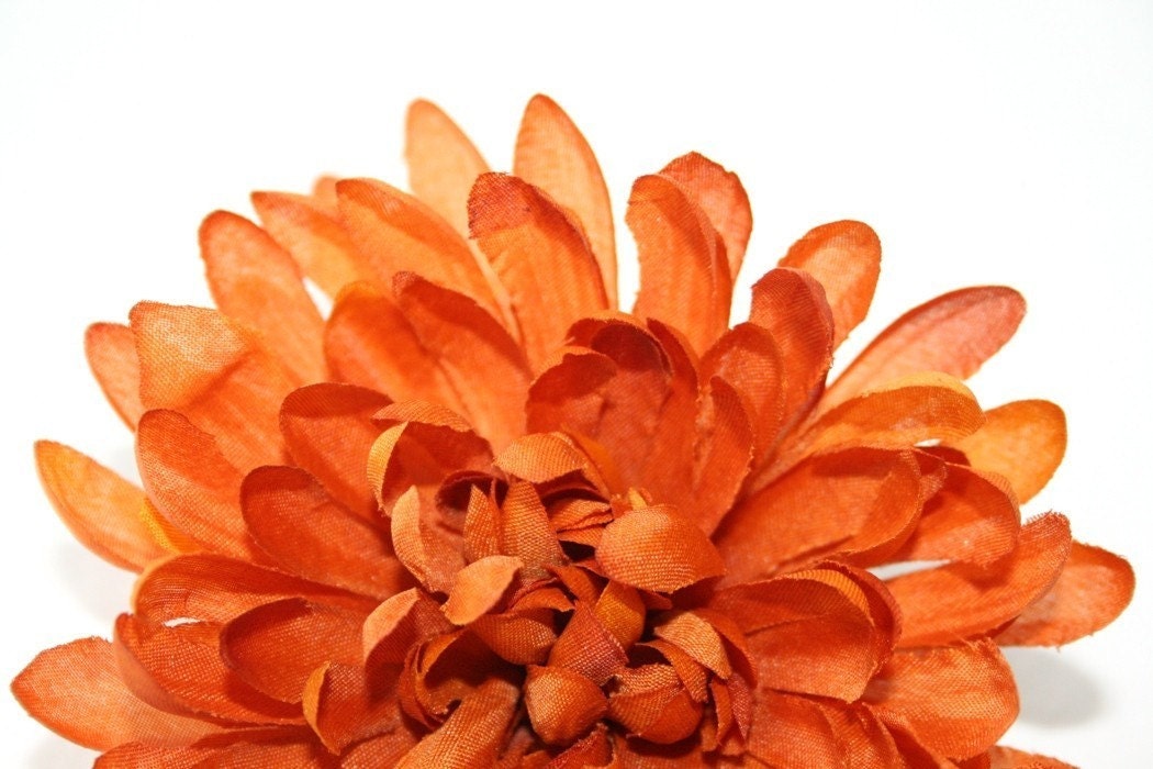 Orange Flower Burnt Orange Rust Chrysanthemum mum