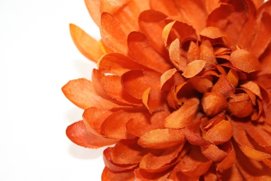 Orange Flower Burnt Orange Rust Chrysanthemum mum