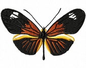 Red Moon Gardens Embroidery Designs by redmoongardens on Etsy