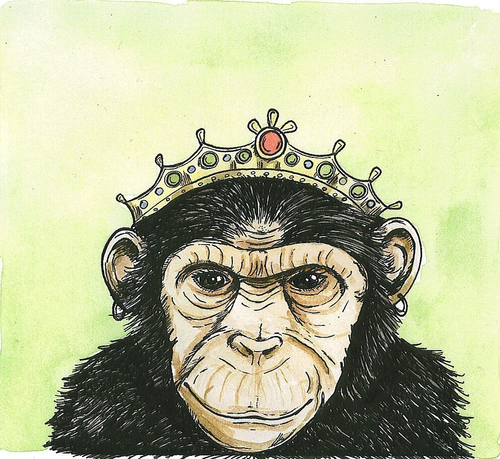 Royal Chimps set of 2 prints by poordogfarm on Etsy