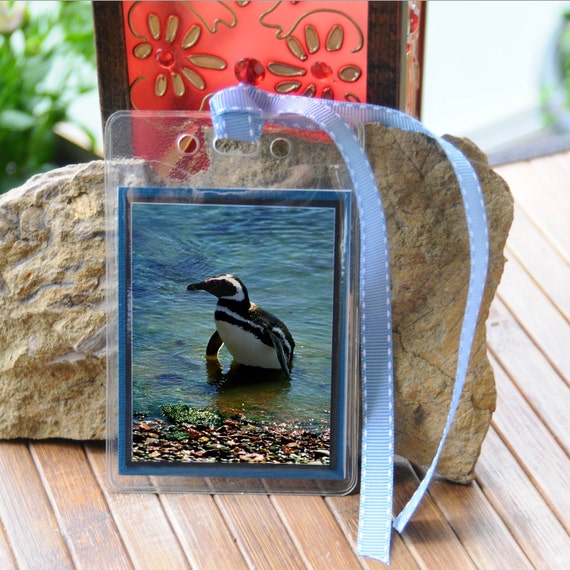Travel Photography Luggage Tag Penguin in Argentina