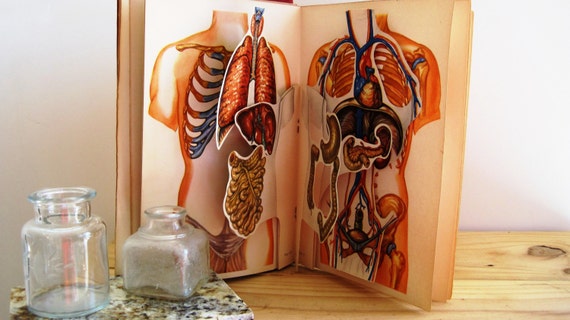 Anatomical Vintage Flip Chart Medical Book