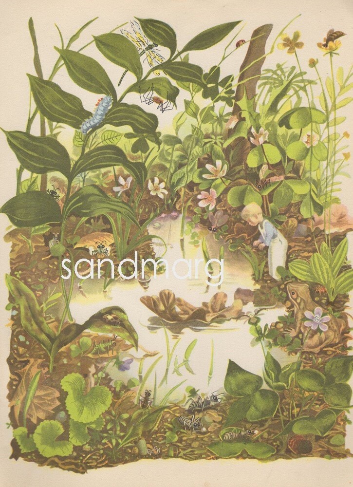 The Little Land By Gertrude Elliott 1962 Storybook by sandmarg