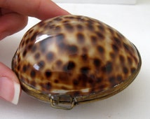 Popular items for shell coin purse on Etsy