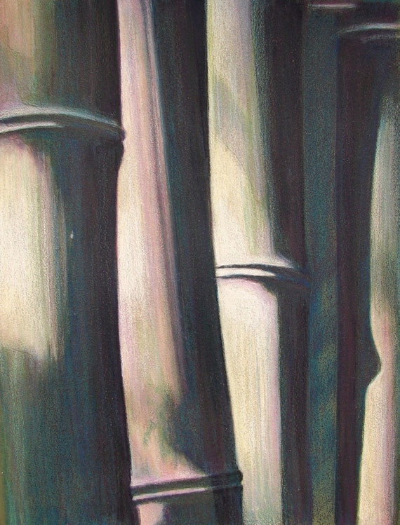Bamboo Original Colored Pencil Drawing 8 x 10 by kellyshields