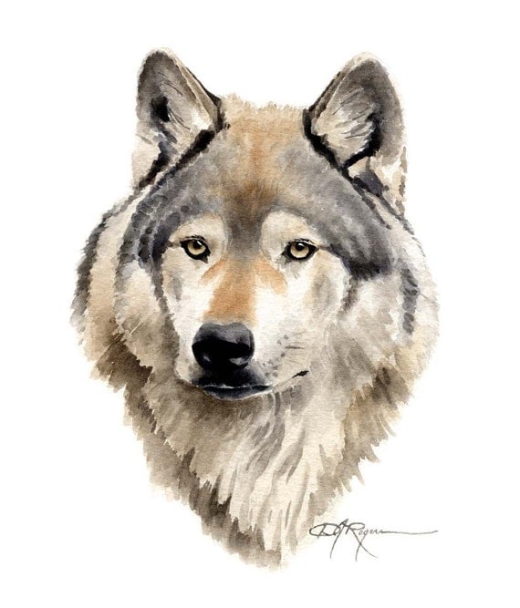 WOLF PORTRAIT Watercolor Painting Art Print Signed by Artist