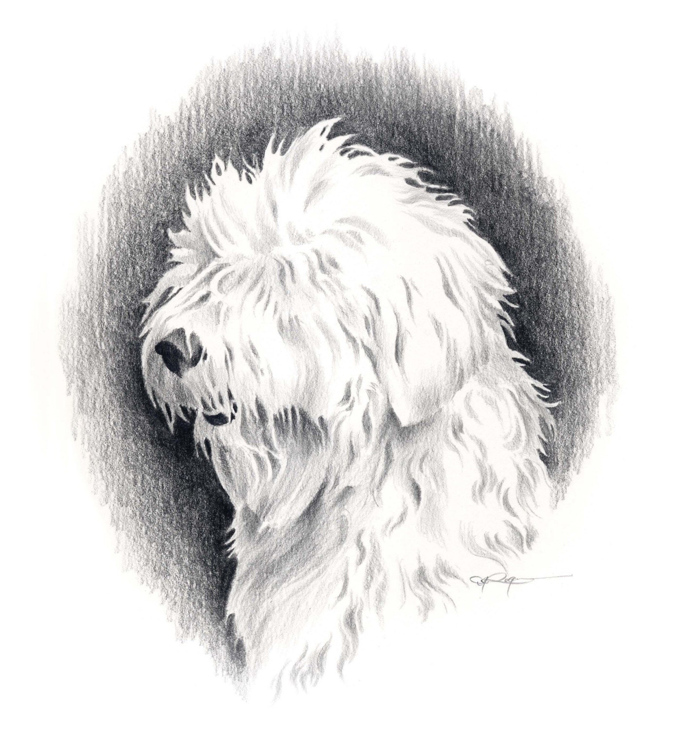 OLD ENGLISH SHEEPDOG Dog Pencil Drawing Art Print Signed By