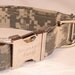 ACU Digital Camo Dog Collar by Swanky Pet