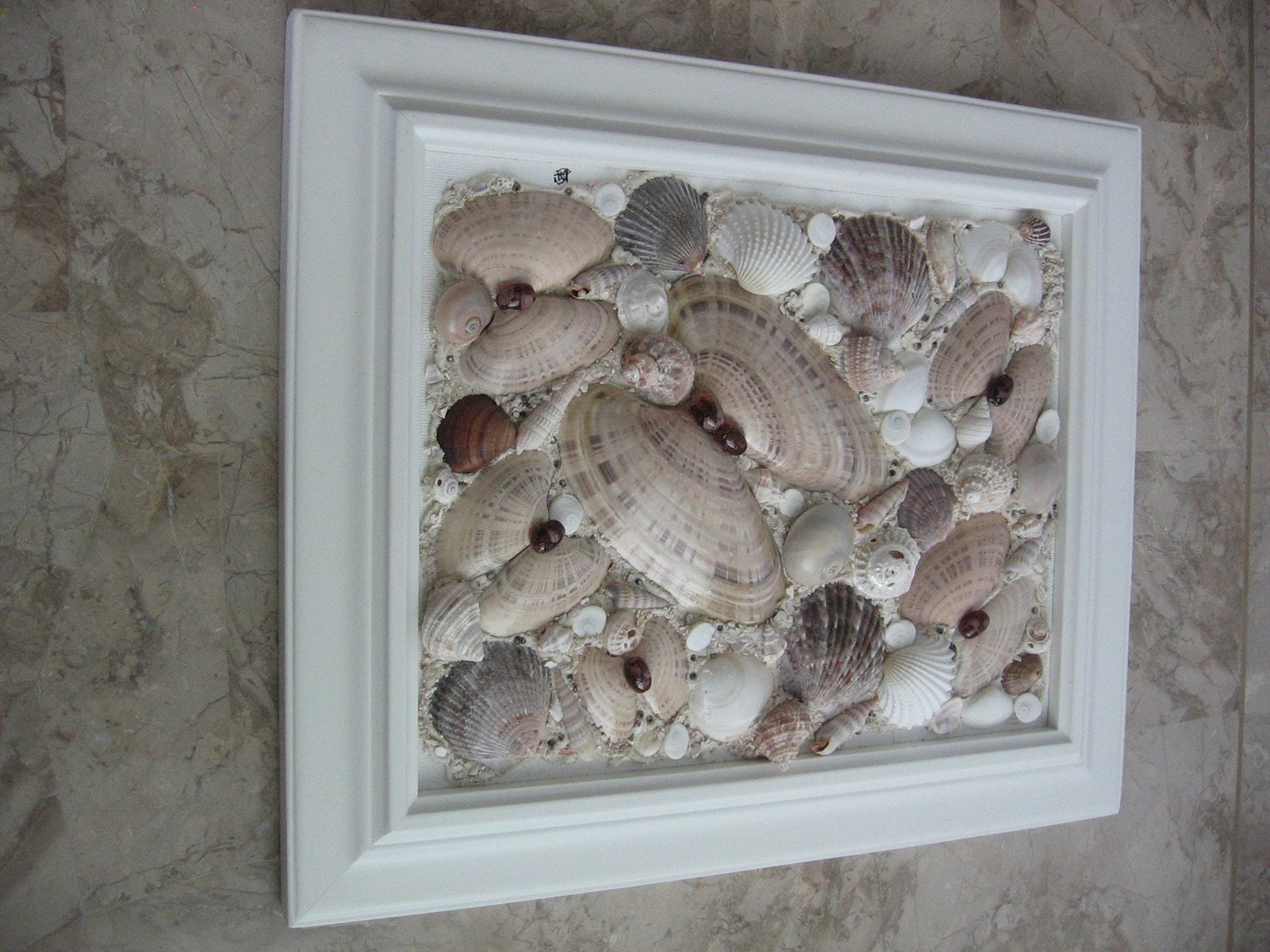 Original Framed Seashell Art Collage Brown White by seasideshells
