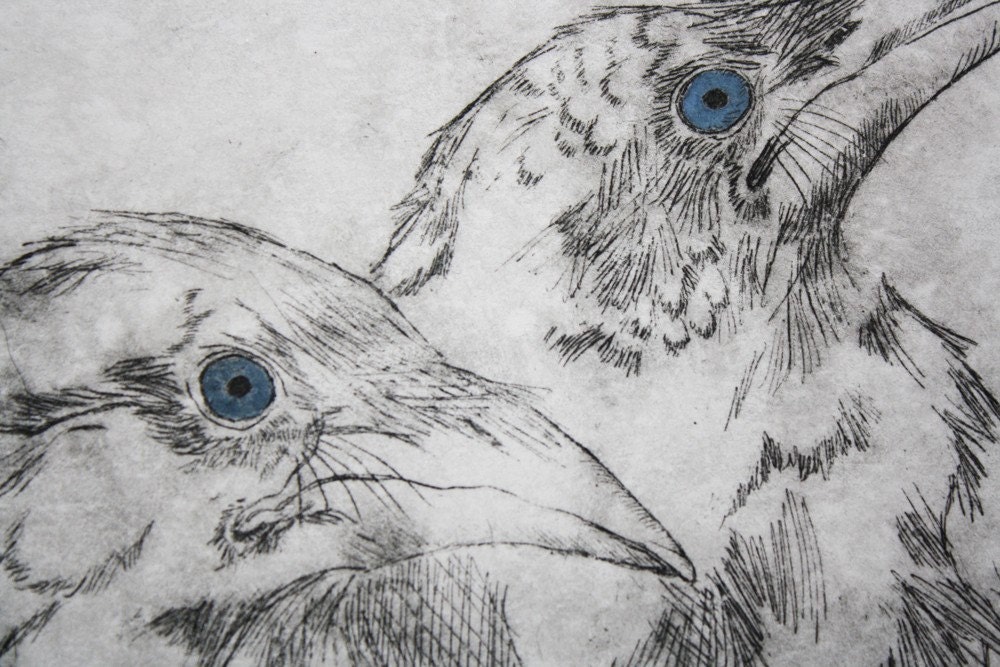 Bird Etching Juvenile Crows Handcolored by MagpieDesignStL on Etsy