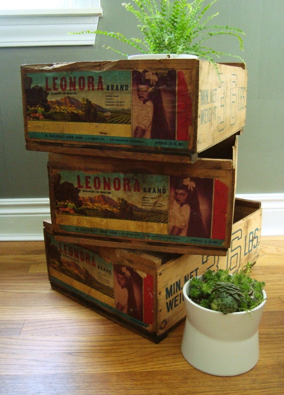 vintage fruit box with gorgeous labeling.