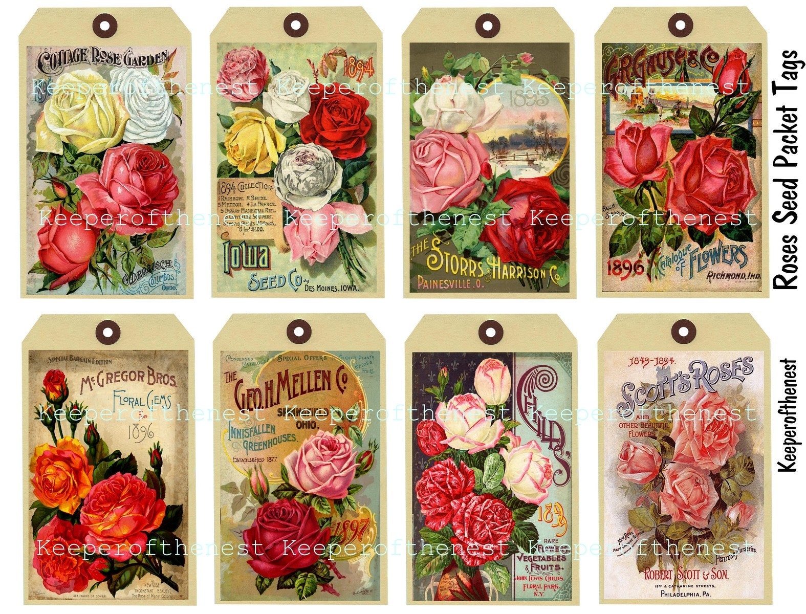 Vintage Roses Seed Packets Tags Digital Collage Sheet Mixed