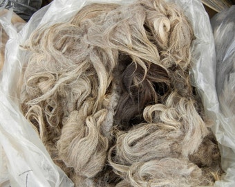 Navajo churro wool | Etsy