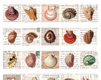 Shell collage | Etsy