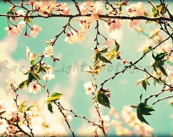 Rachel Edgington Photography by RaeoLight on Etsy