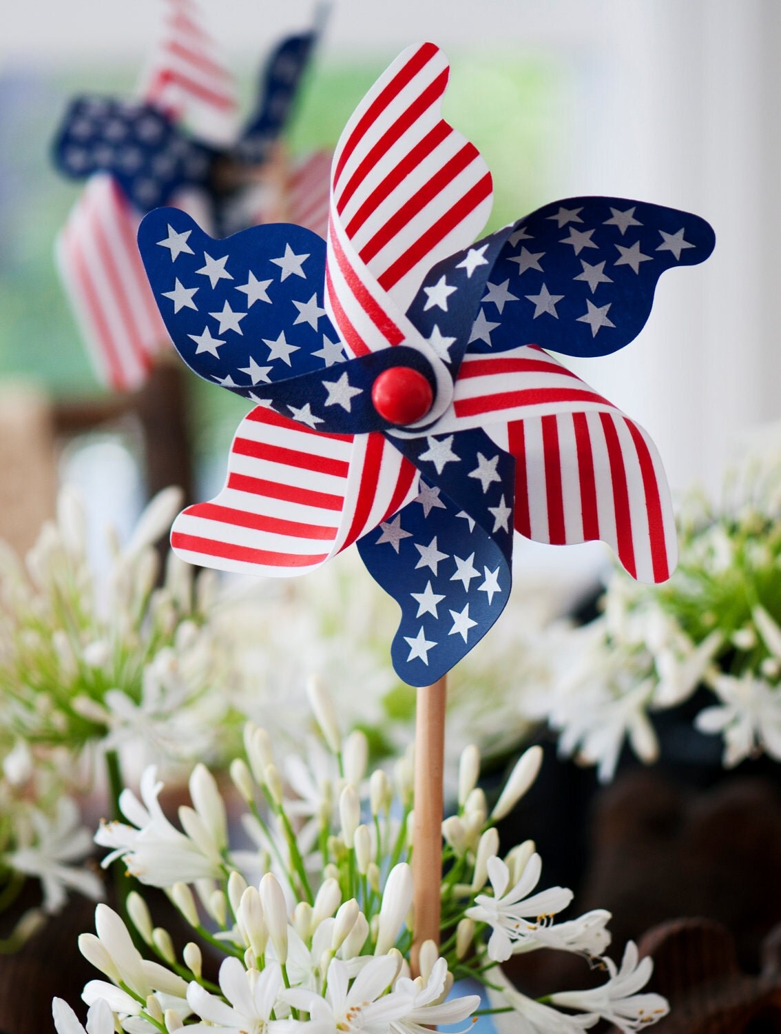 4th of July Pinwheel Notecards set of 6