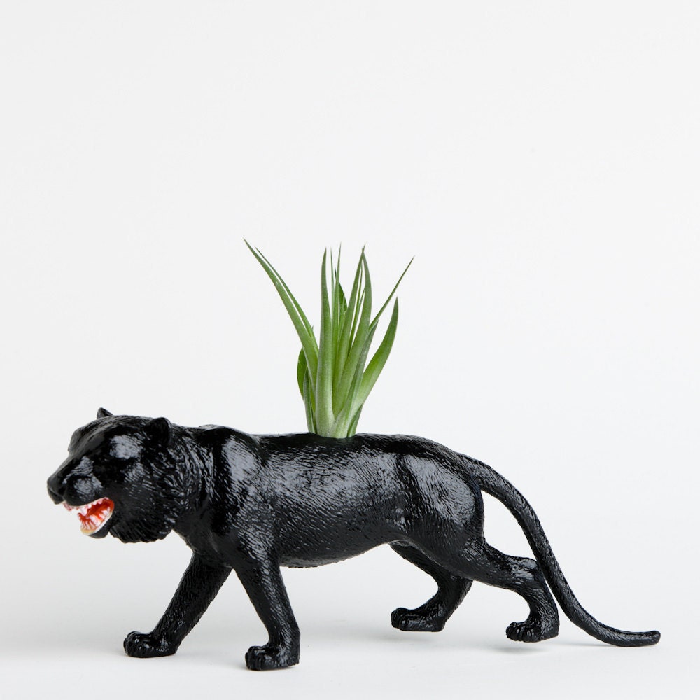Tiger Planter with Air Plant Animal Room Decor College Dorm