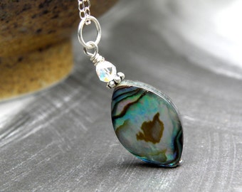 Cat eye shells | Etsy