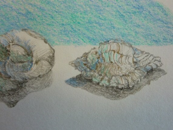 Items similar to Original Colored Pencil Drawing Beach Trio on Etsy