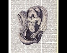 Popular items for woman anatomy on Etsy