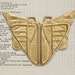 XX Large brass art nouveau DECO BUTTeRFLY beetle pendant 73mm