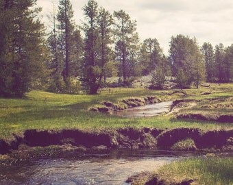 Meadow landscape | Etsy