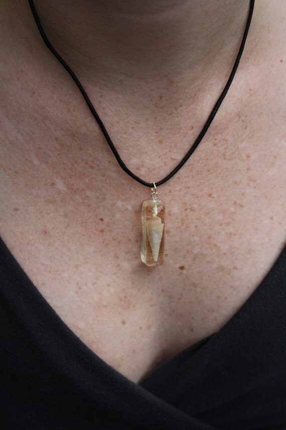 Items similar to Unicorn Horn Shell Necklace on Etsy