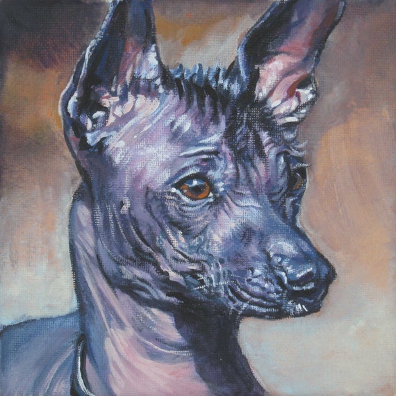 Mexican Hairless Xoloitzcuintli xolo dog art CANVAS print of