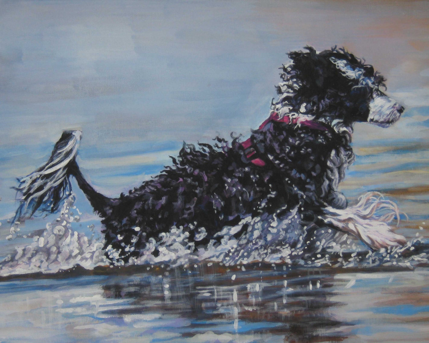 Portuguese Water Dog art print canvas print of LA Shepard