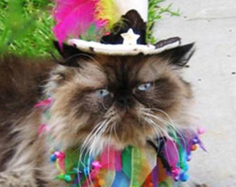 Top hat for cats | Etsy