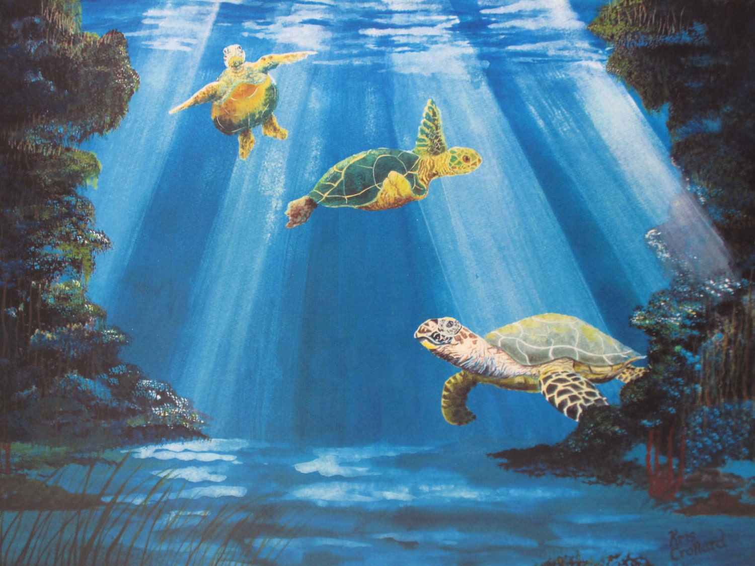 Turtle Print 12x9 in 16x12 Mat. Underwater Sea Life Cave