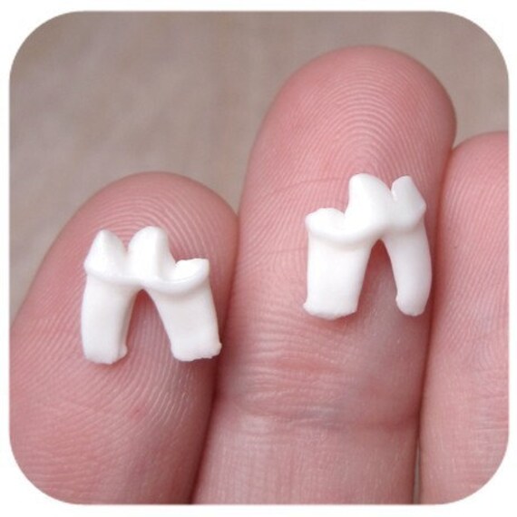 Specimens Real Mink Teeth Molars Qty. 2