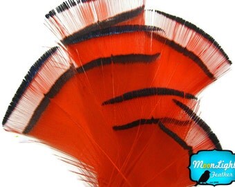 Chukar feathers 1 Pack NATURAL CHUKAR by MoonlightFeatherInc