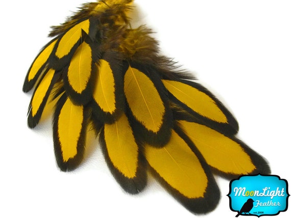 USA Patterned Feathers 1 Dozen YELLOW Laced Hen Saddle