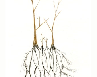 Well Rooted - Home Art Print - House Art Decor - Trees and Roots ...