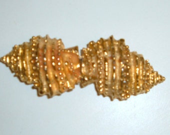 Seashell belt | Etsy