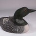 Common Loon Hand Carved Wooden Bird