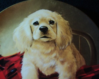Cocker spaniel plate | Etsy