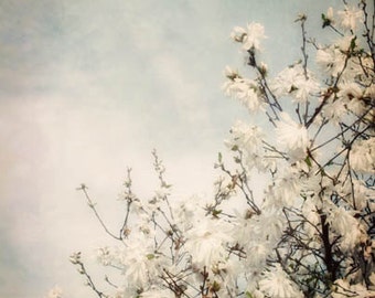 Winter Landscape Photograph rustic country by FirstLightPhoto