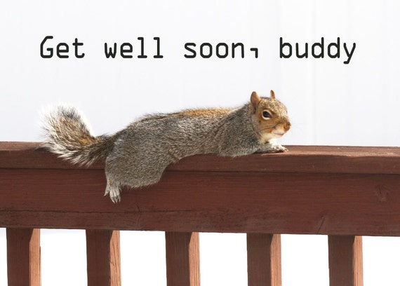 Get Well Soon card Feel better soon card squirrel by belvidesigns