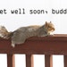 Get Well Soon card Feel better soon card squirrel greeting