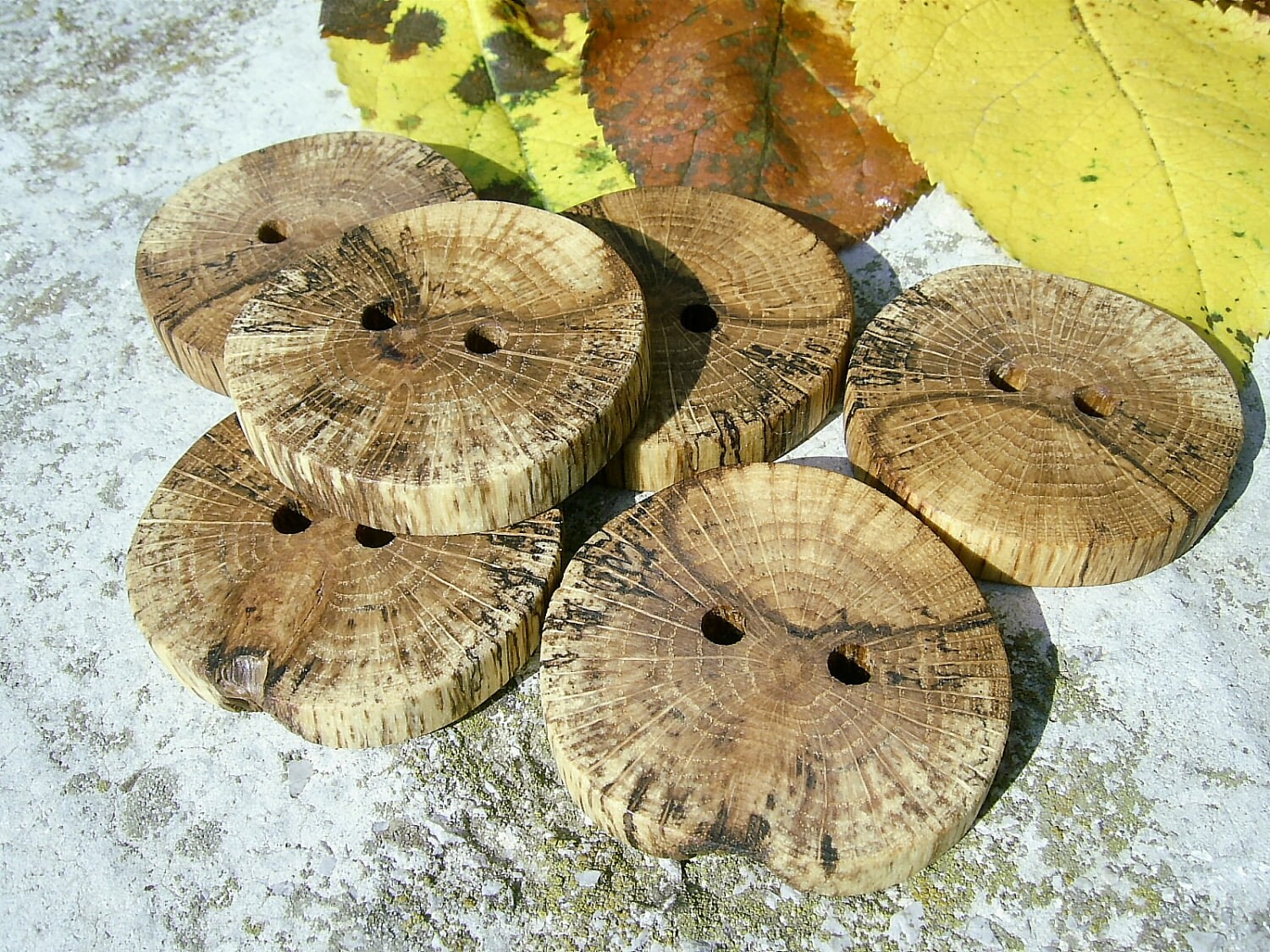 6 Spalted OAK tree branch buttons around 1 1/2 by WoodenArtist