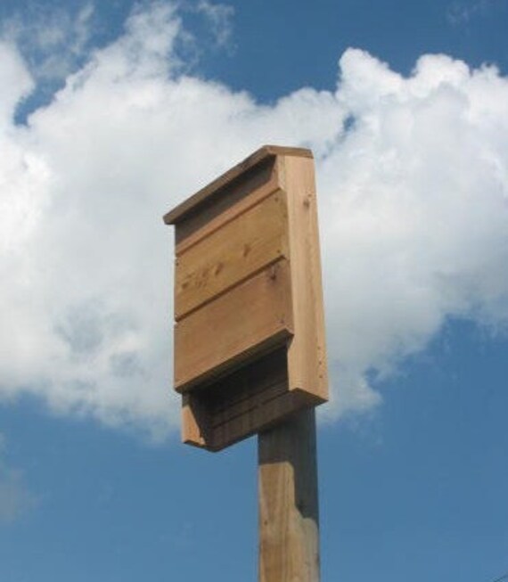 Bat House Design Dec